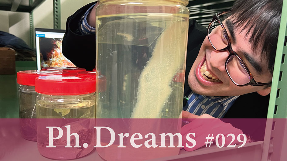 Ph.Dreams #029：夢はホヤの図鑑を作ること – Ph.Discover